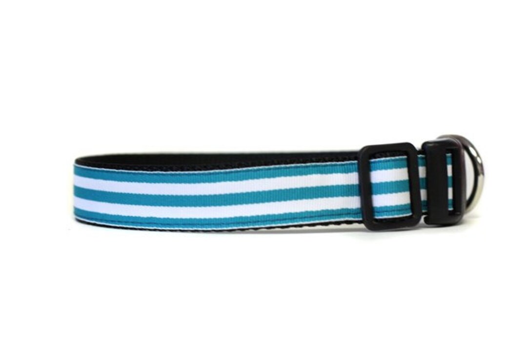 1 Inch Wide Dog Collar With Adjustable Buckle or Martingale in Beach ...