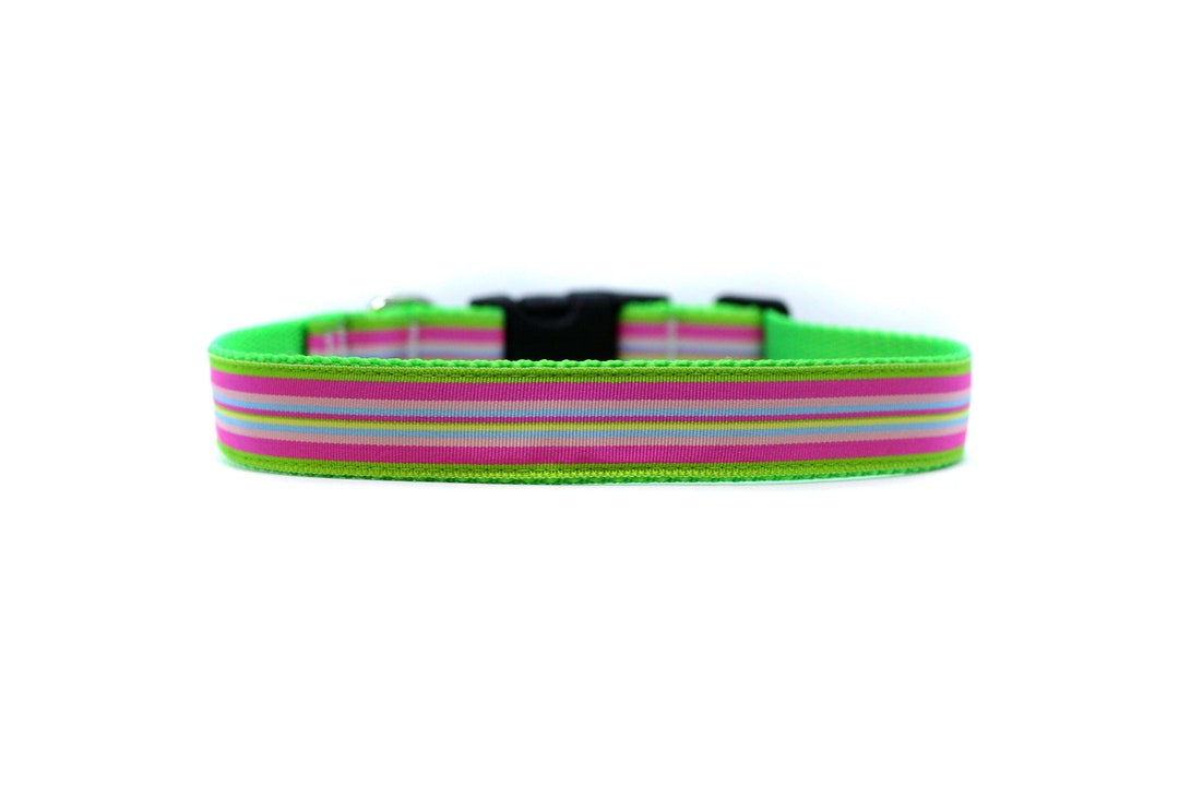 1 Inch Wide Dog Collar With Adjustable Buckle or Martingale in Bubble ...