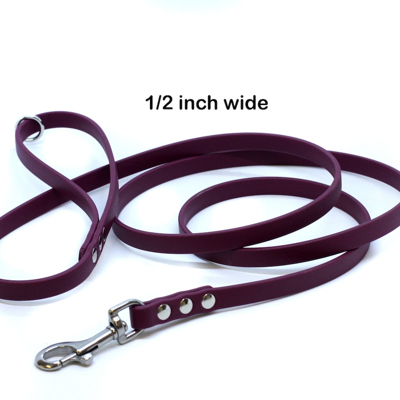 Double Dog Leash Long - Etsy