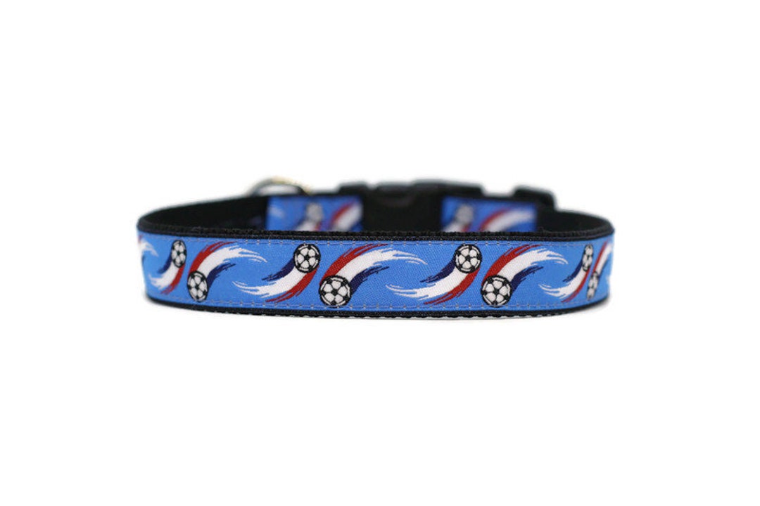 1 Inch Wide Dog Collar With Adjustable Buckle or Martingale in ...