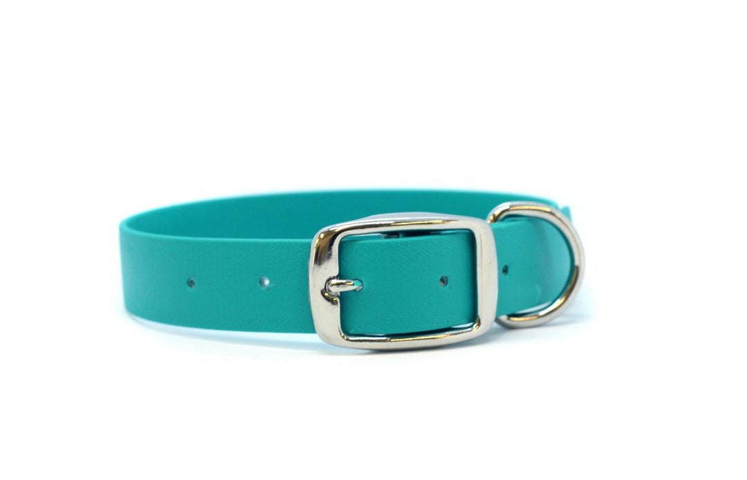 1" Wide Biothane Tongue Buckle Collar - Stainless Hardware - Etsy