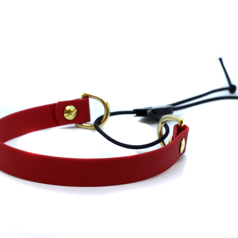 Biothane 3/4 Leash - Etsy UK