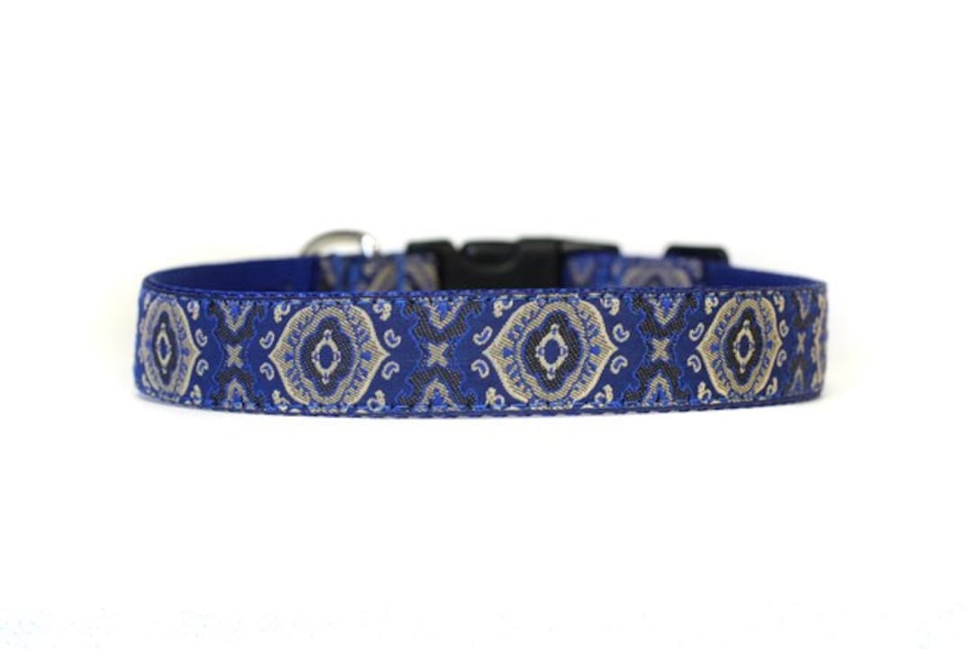 1 Inch Wide Dog Collar With Adjustable Buckle or Martingale in ...