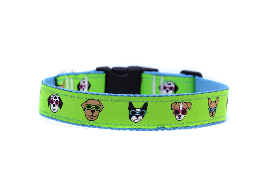 1 Inch Wide Dog Collar With Adjustable Buckle or Martingale in Cool ...