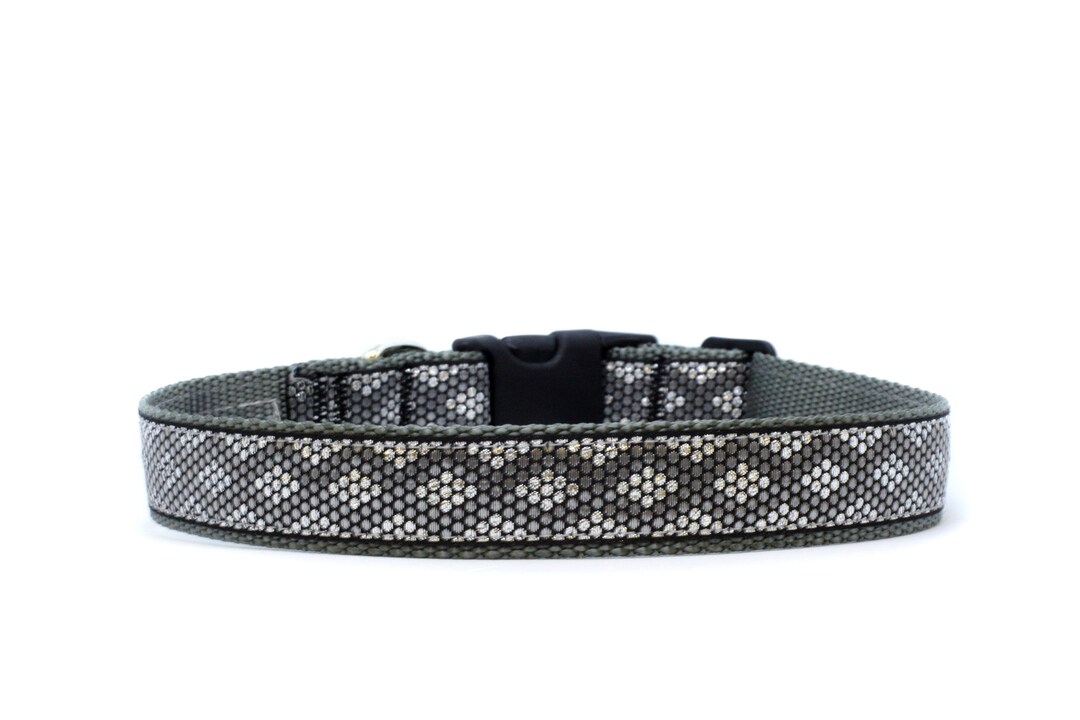 1 Inch Wide Dog Collar With Adjustable Buckle or Martingale in ...