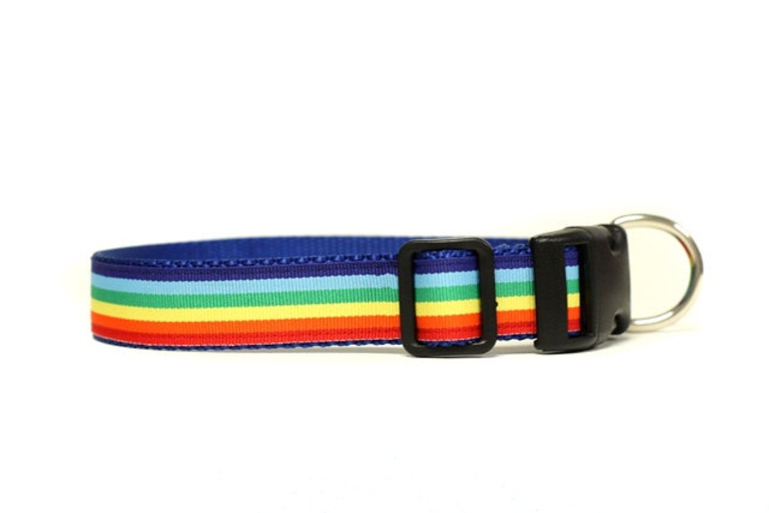 1 Inch Wide Dog Collar With Adjustable Buckle or Martingale in Rainbow ...