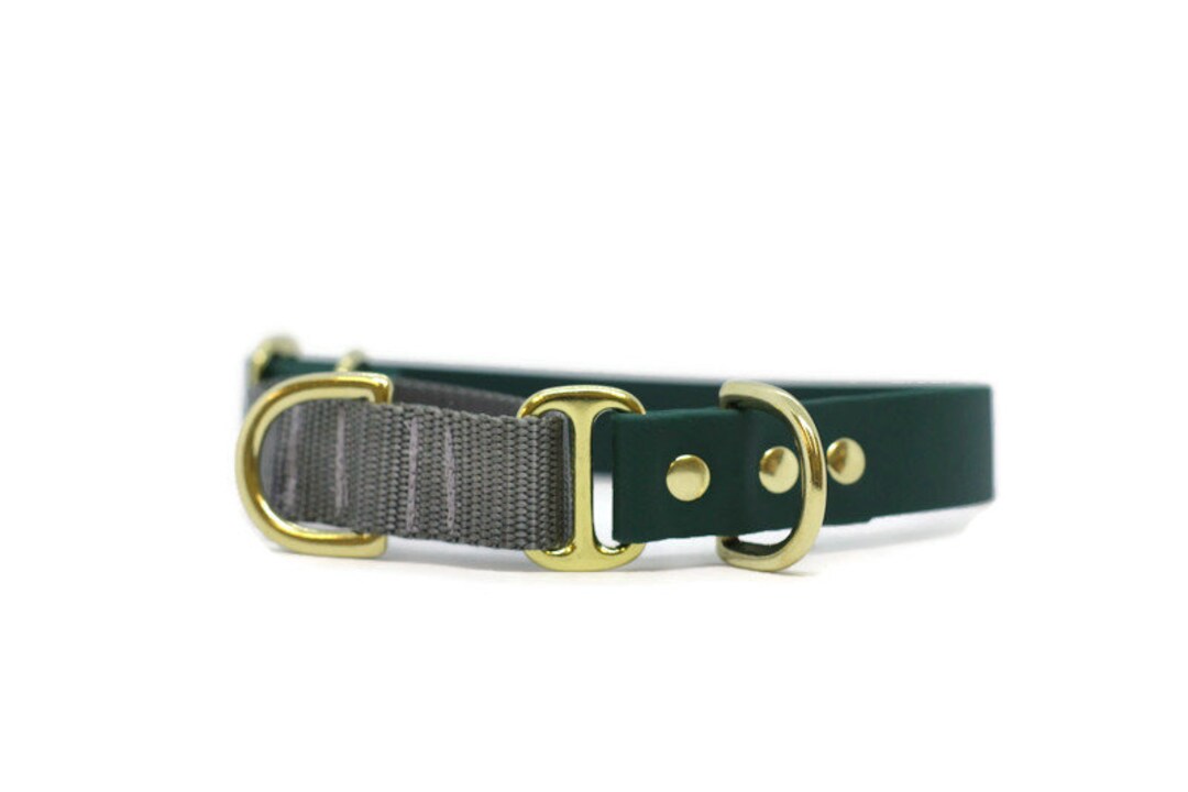 1" Wide Biothane Nylon Webbing Loop Hybrid Martingale With Brass ...