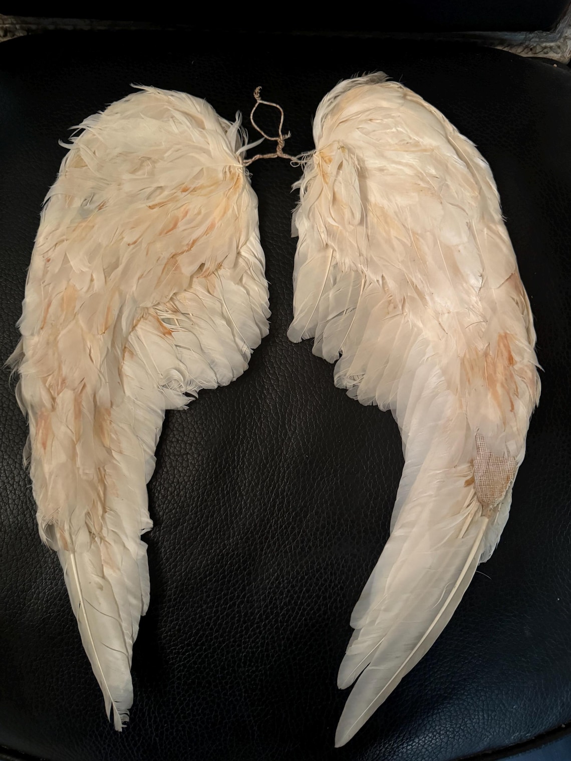 Beautiful Antique Wings - Etsy