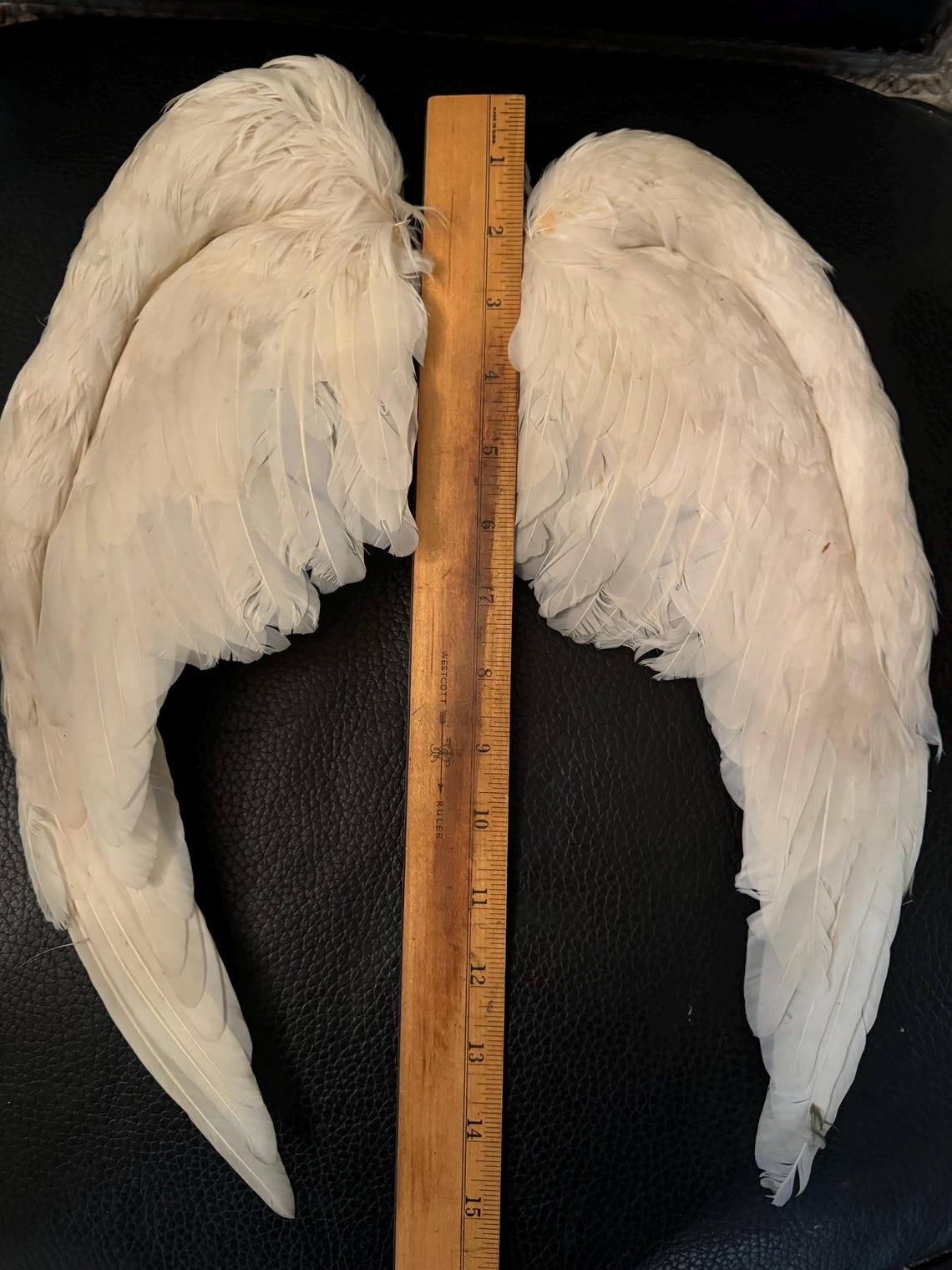 Beautiful Antique Wings - Etsy