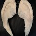 Beautiful Antique Wings - Etsy