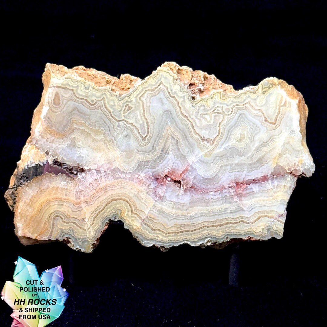 Agatized Coral Specimen - Cut and Polished in Colorado - 25-383 - Etsy