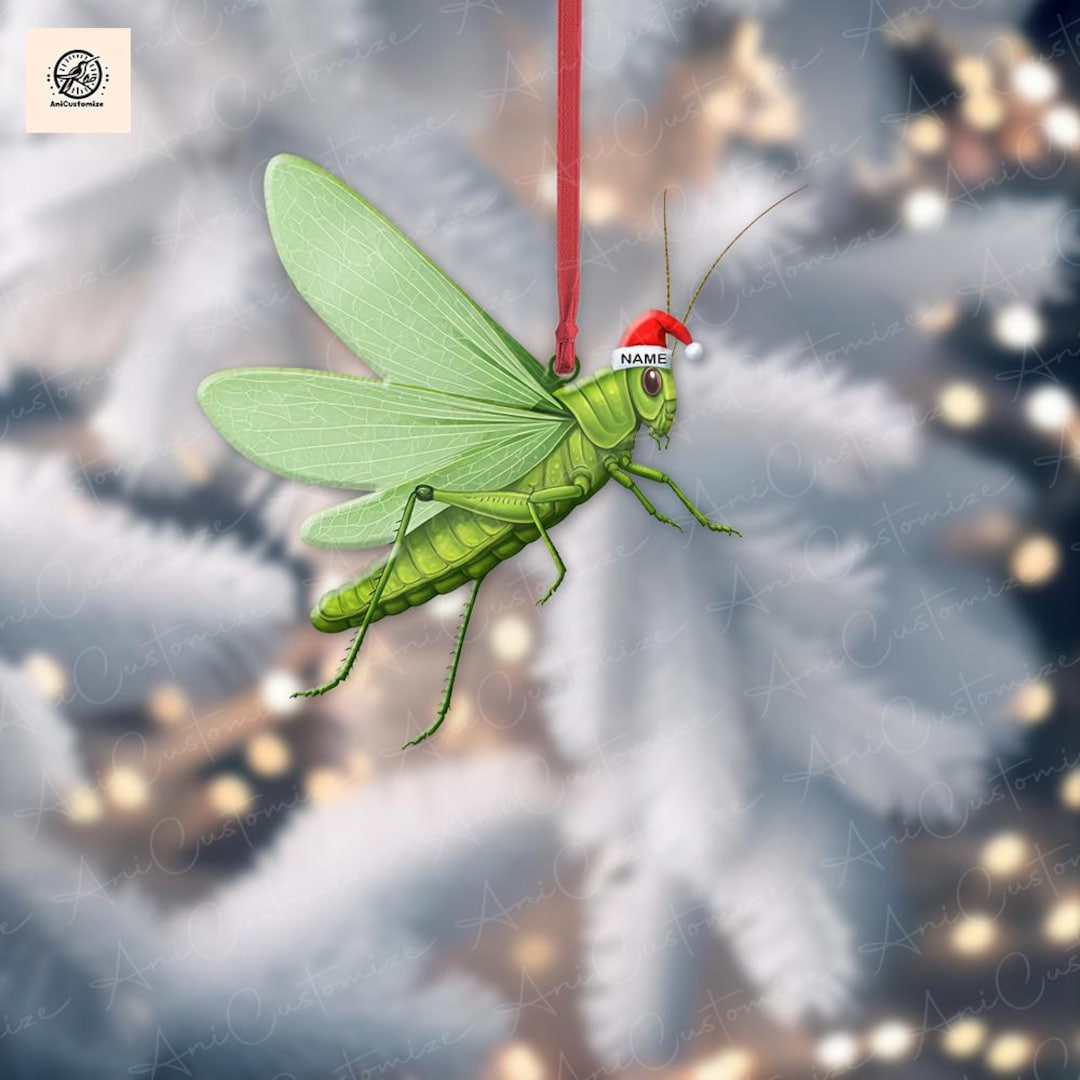 Personalized Grasshopper 2D FLAT Christmas Ornament, Animal Ornament ...
