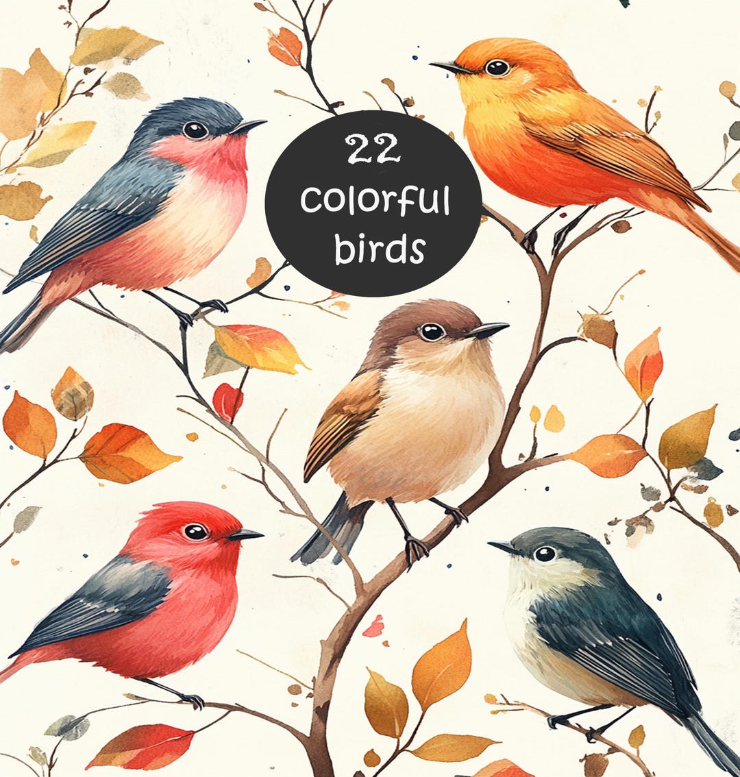 22 Small Birds for Clipart, Beautify Your Designs With a Small Colorful ...