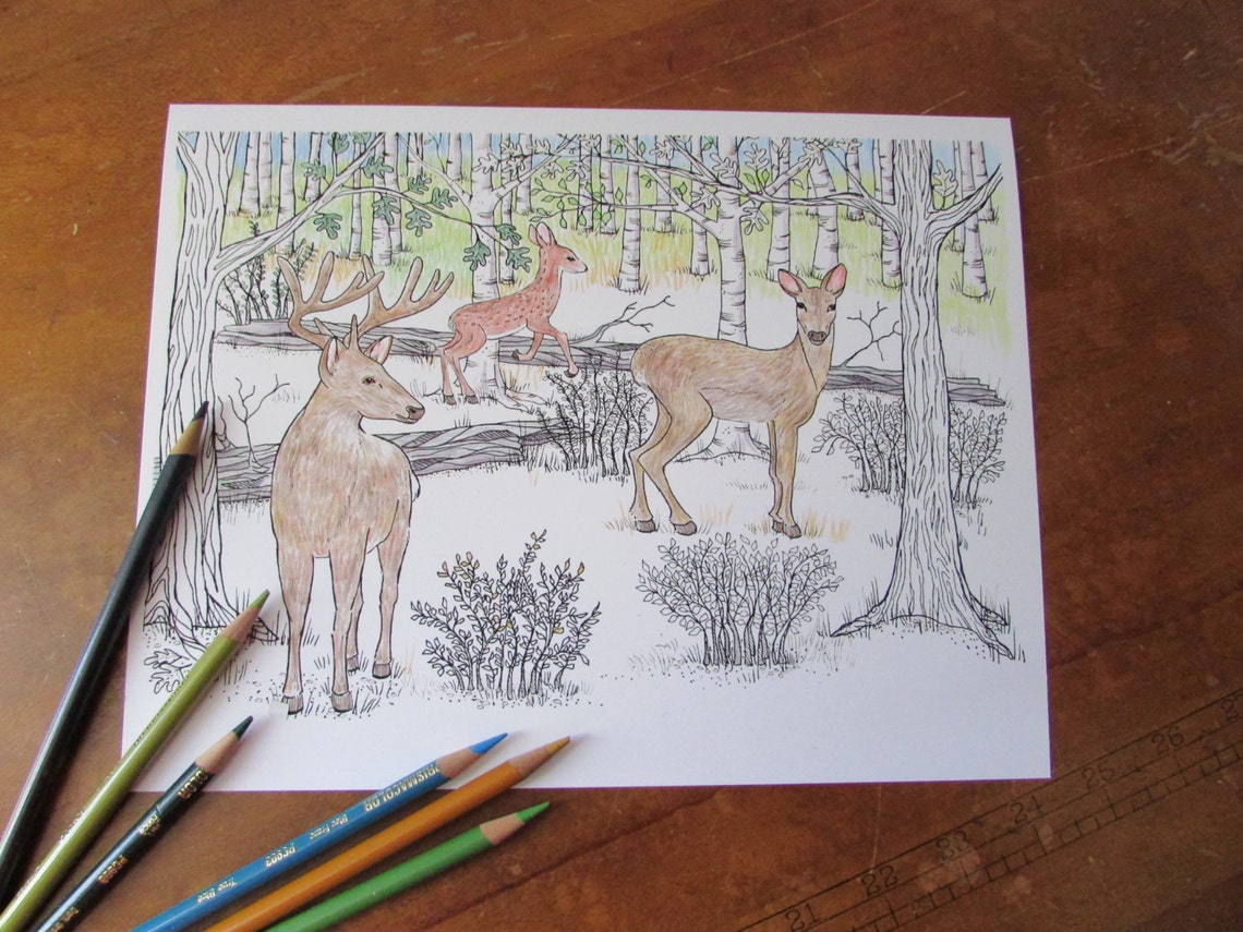 Adult Coloring Page-deer-woodland-forest-deer in the Dell-wall Decor ...