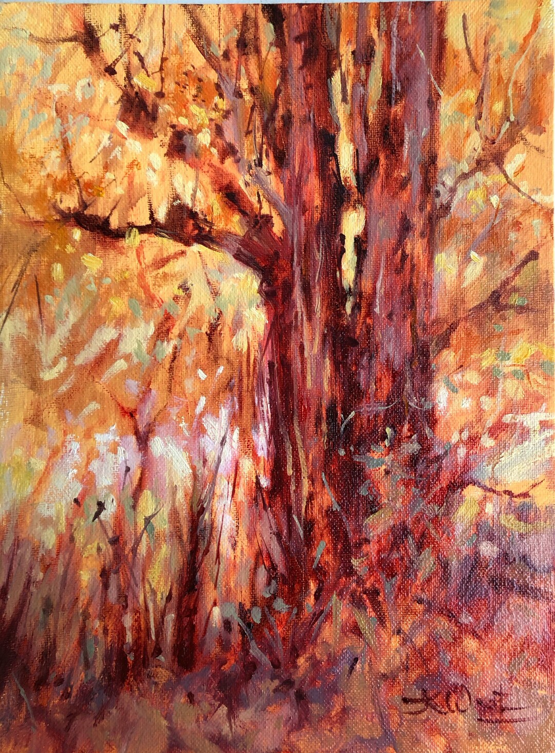 Autumn Fire Tree. Plein Air Oil Landscape Painting - Etsy