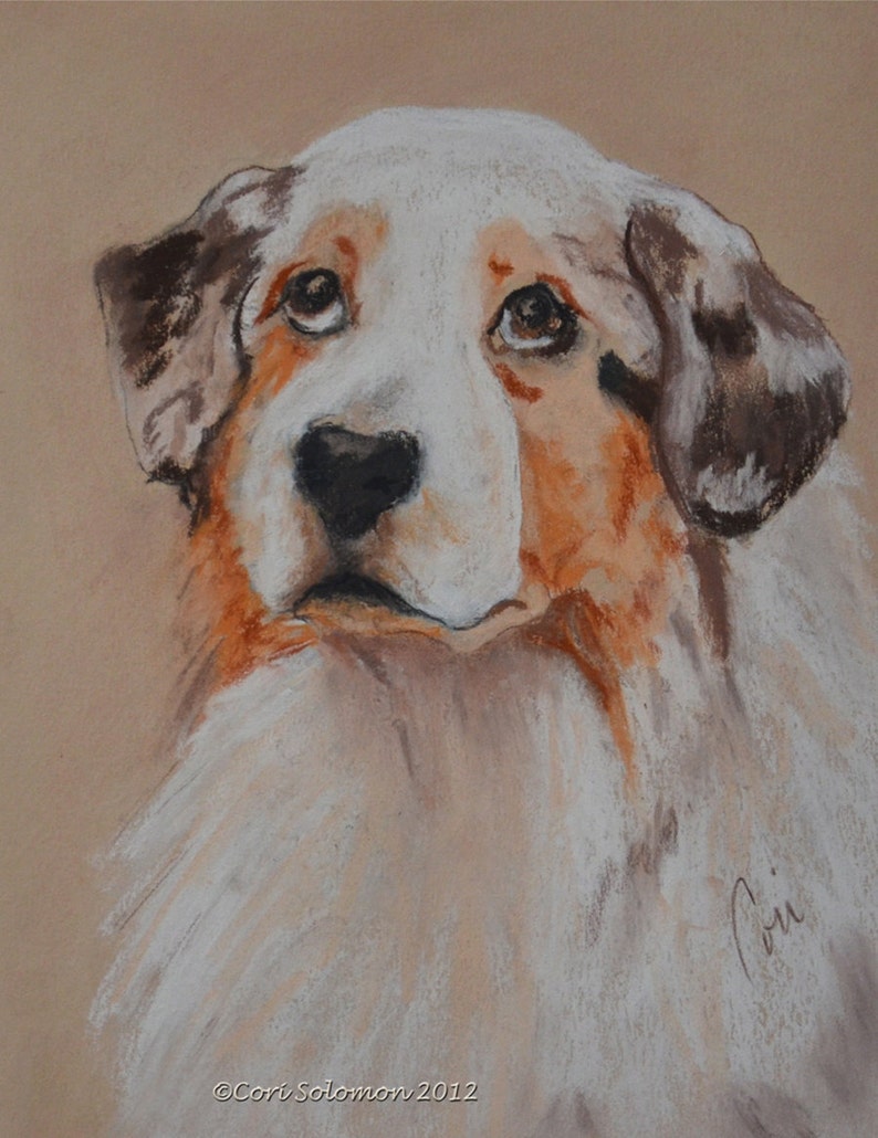 Australian Shepherd Original Pastel Drawing Dog Art Framed and Matted ...