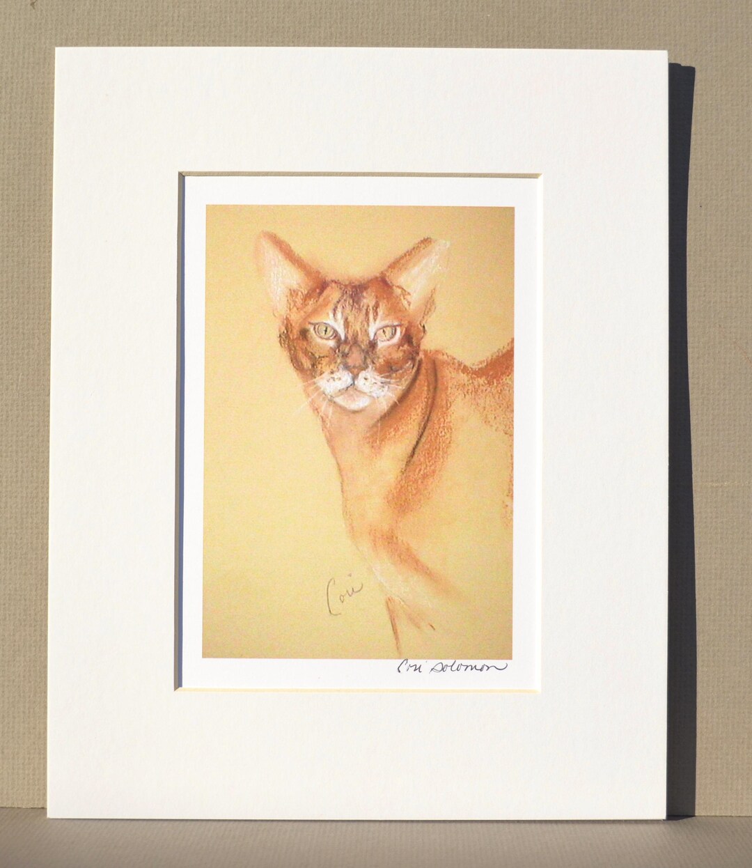 Abyssinian Cat Art Signed Matted Print by Cori Solomon - Etsy