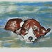 Black Saluki Tri-colored Saluki Dog Art Note Cards by Cori Solomon - Etsy