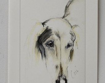Black Saluki Tri-colored Saluki Dog Art Note Cards by Cori | Etsy