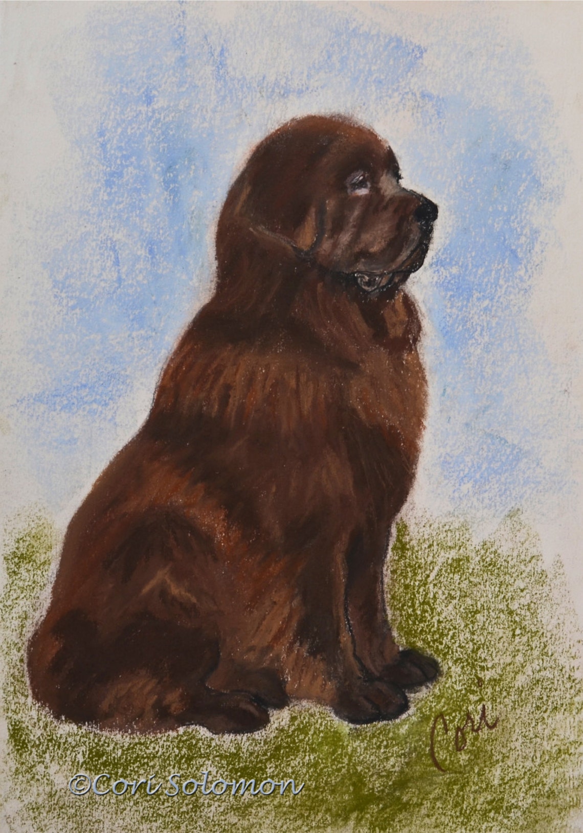 Newfy Newfoundland Dog Art Pastel Drawing by Cori Solomon - Etsy