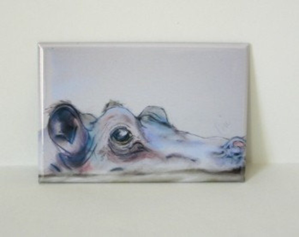 Hippopotamus Art Magnet Hippo Animal Wildlife by Cori Solomon - Etsy