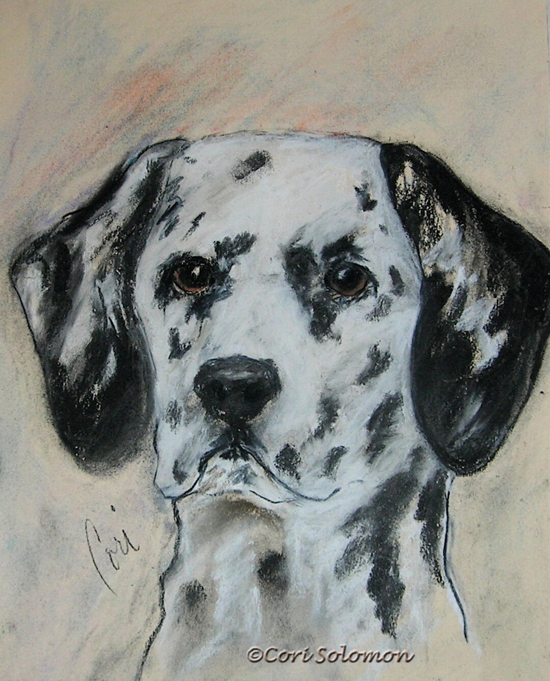 Dalmatian Dog Art Pastel Drawing by Cori Solomon - Etsy