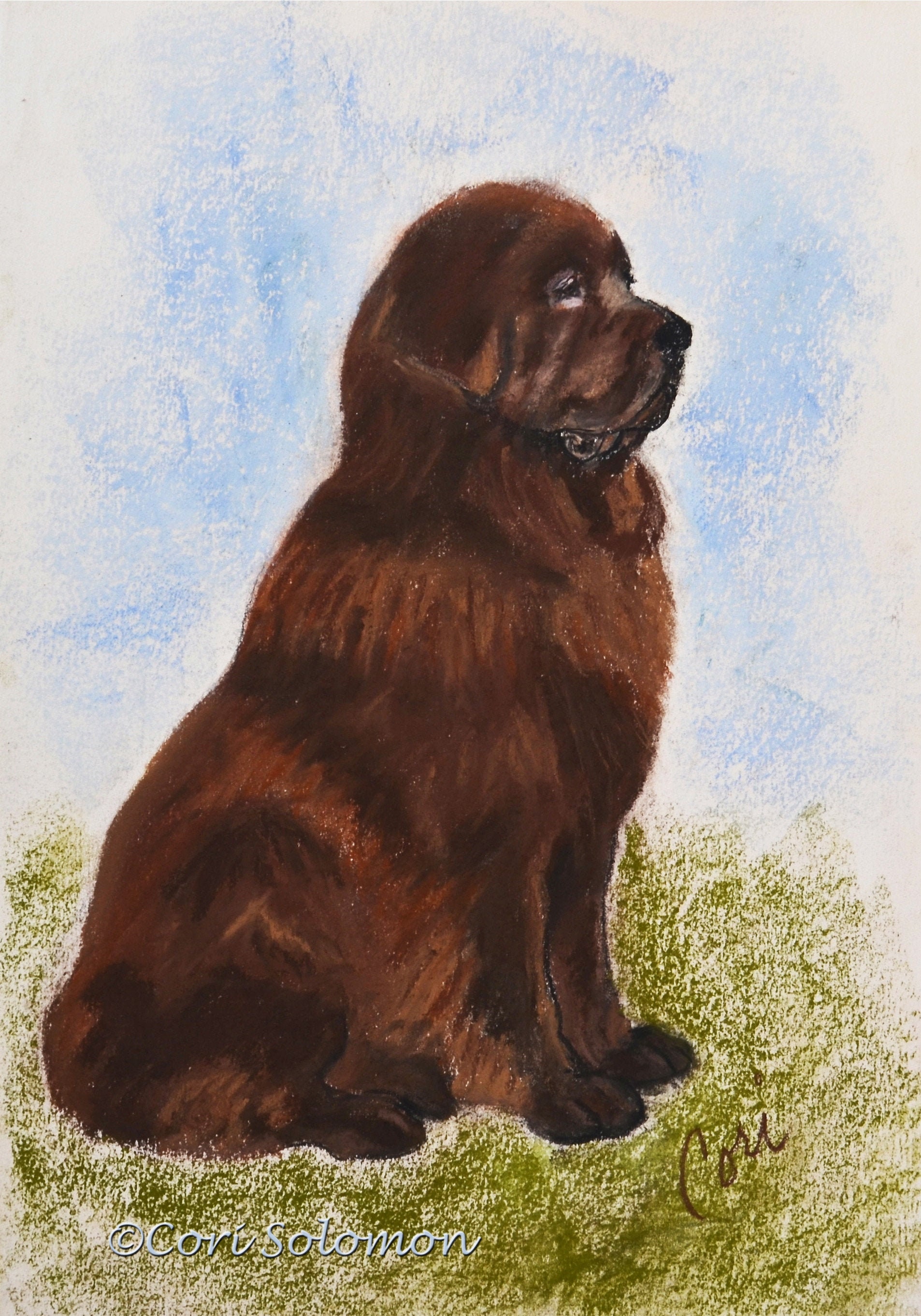 Newfy Newfoundland Dog Art Pastel Drawing by Cori Solomon - Etsy