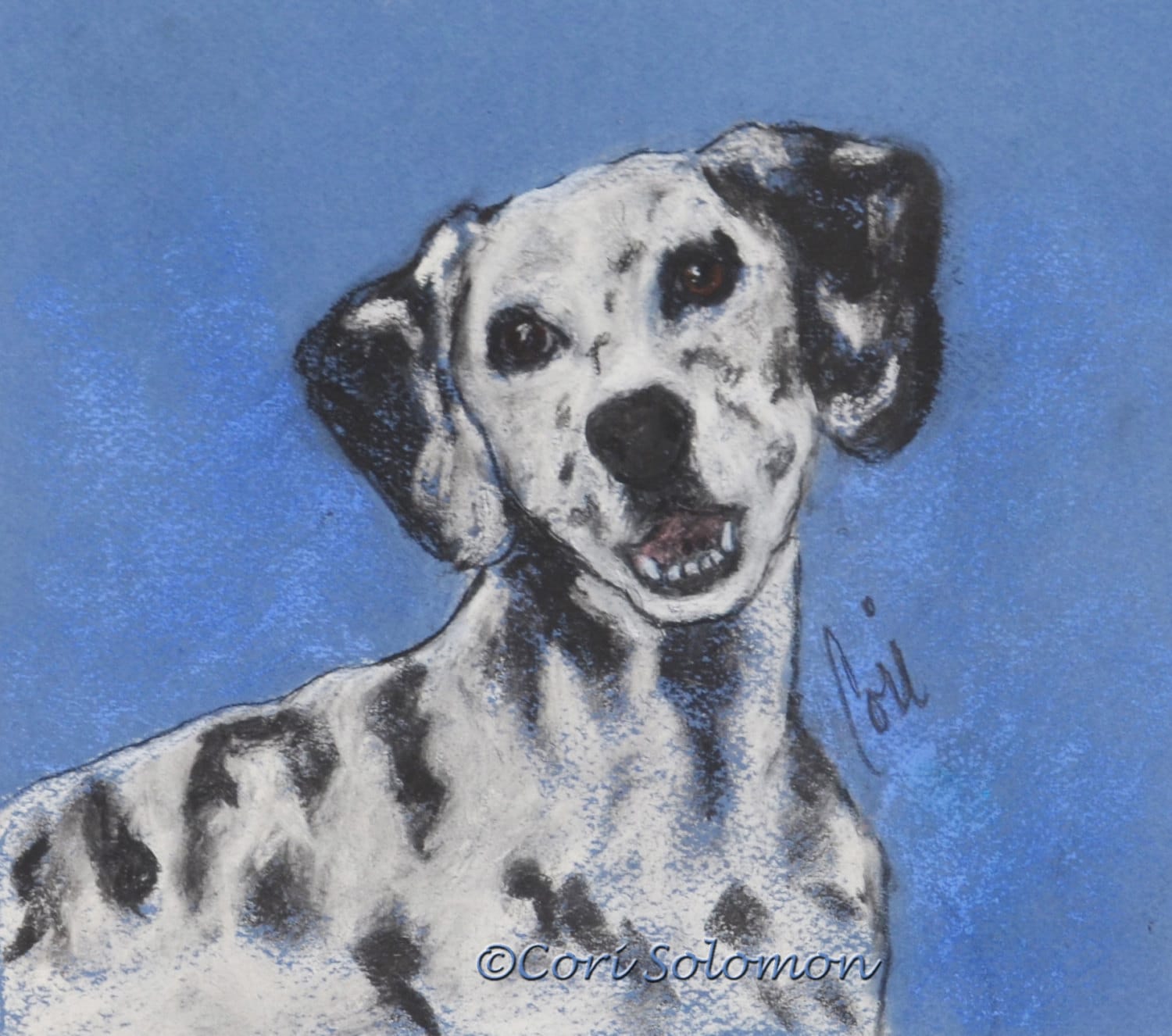 Dalmatian Dog Art Pastel Drawing by Cori Solomon - Etsy
