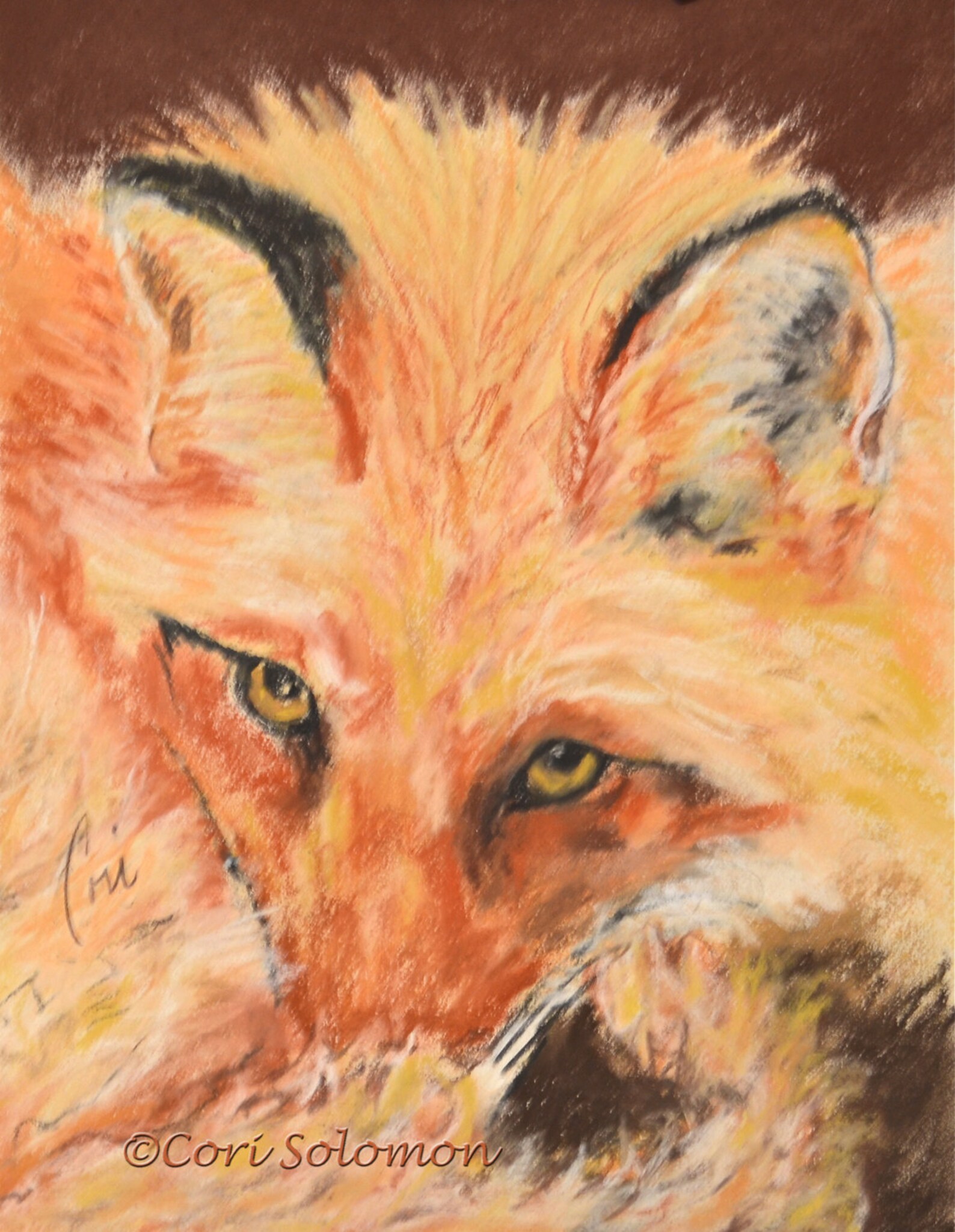 Fox Art Wildlife Pastel Drawing by Cori Solomon - Etsy