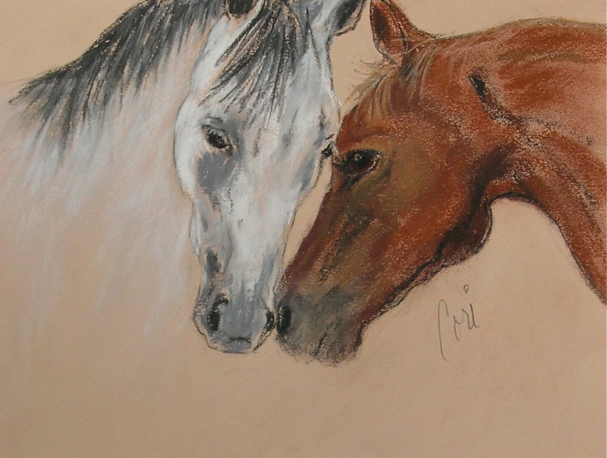 Two Horses Drawing