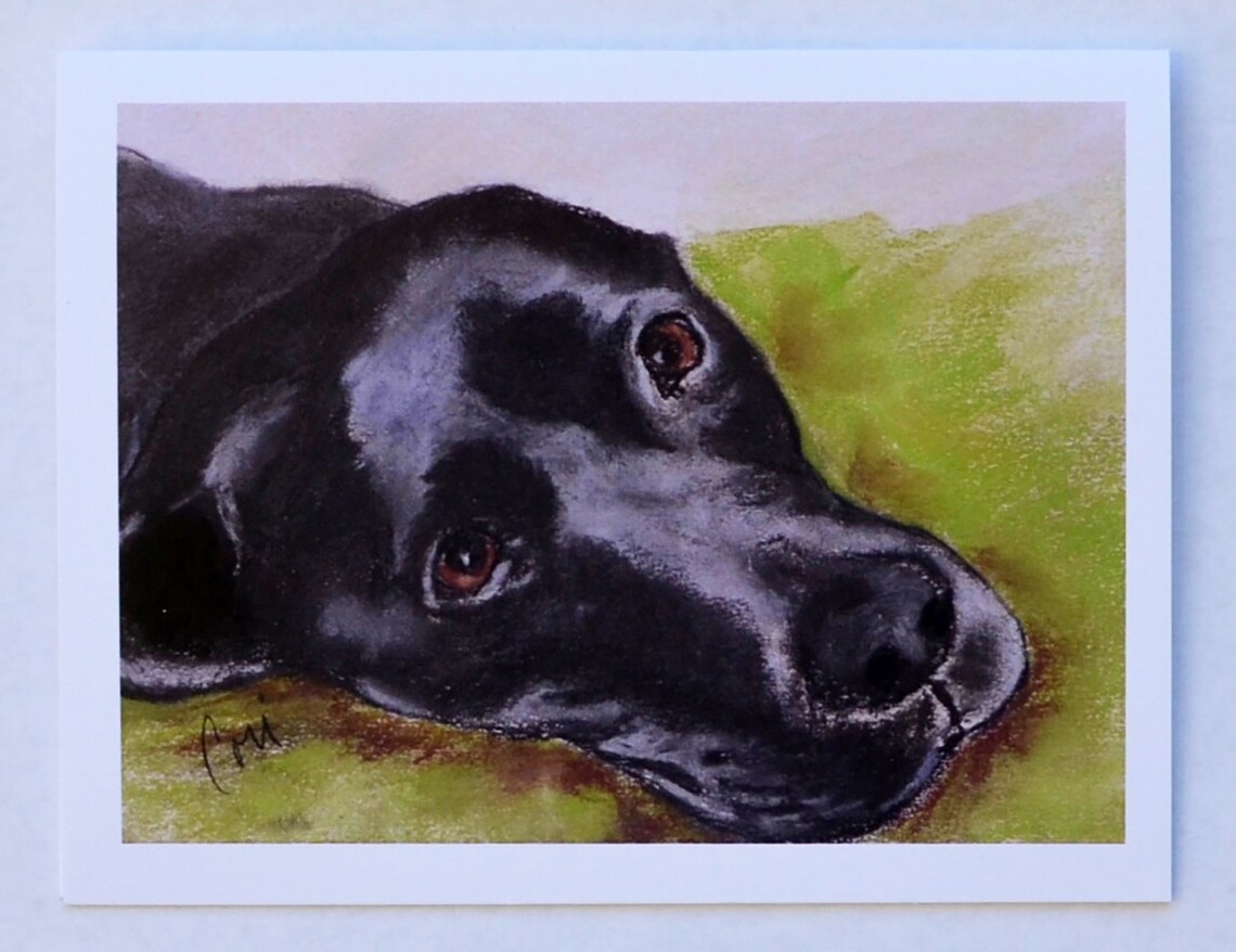 Black Labrador Dog Art Note Cards by Cori Solomon - Etsy