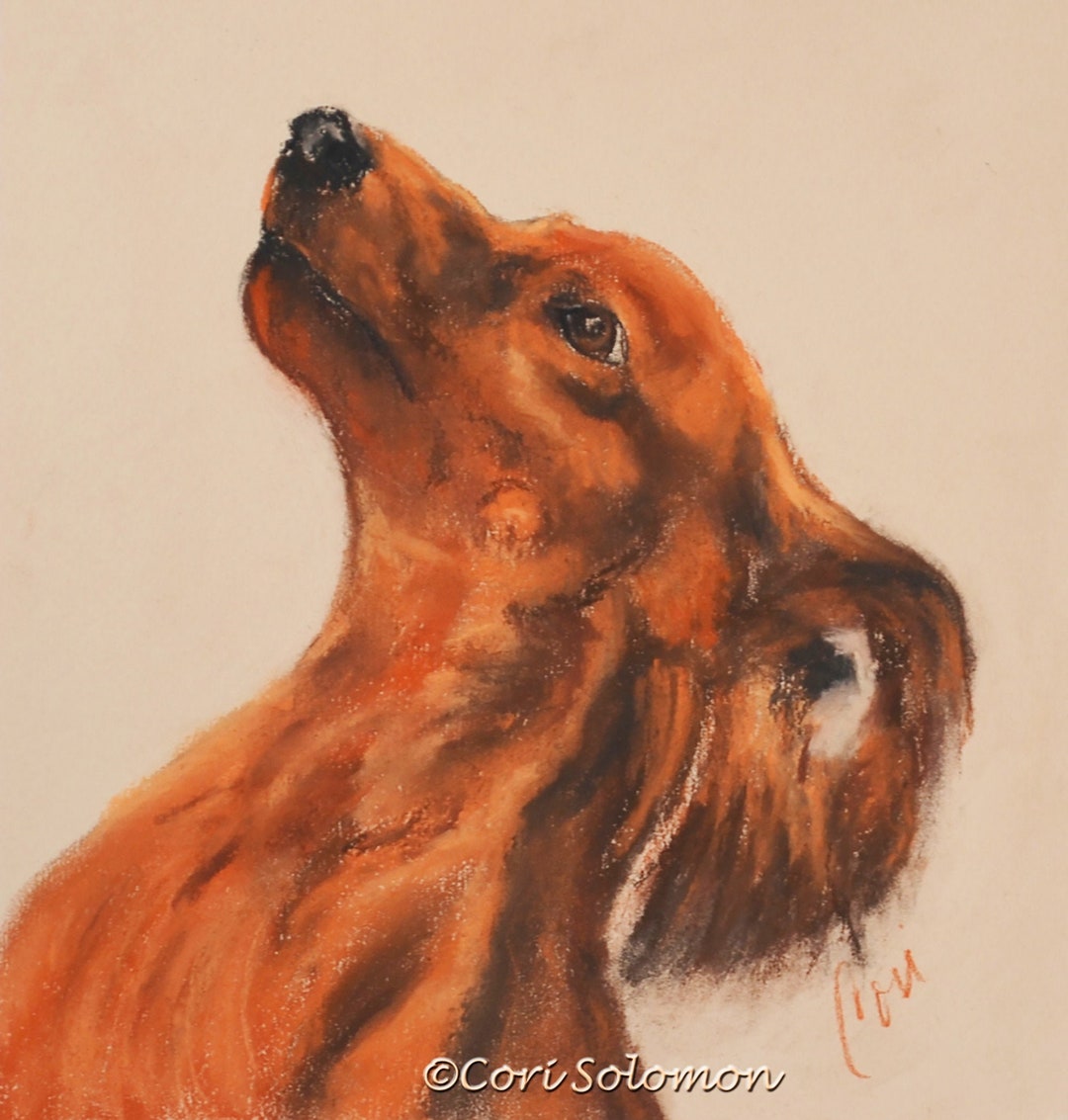 Doxie Art Dachshund Dog Art Pastel Drawing - Etsy