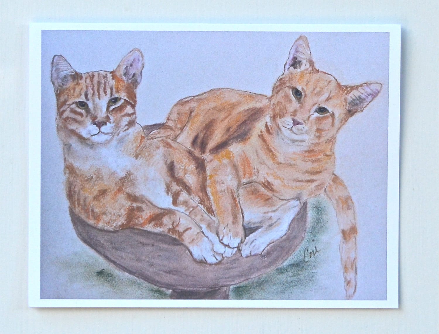 Orange Tabby Cat Drawing