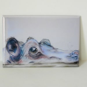 Hippopotamus Art Magnet Hippo Animal Wildlife by Cori Solomon - Etsy