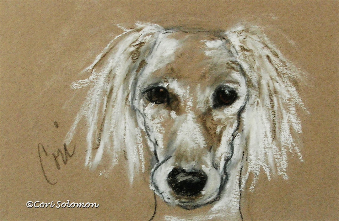 Cream Saluki Dog Art Framed Pastel Drawing by Cori Solomon - Etsy
