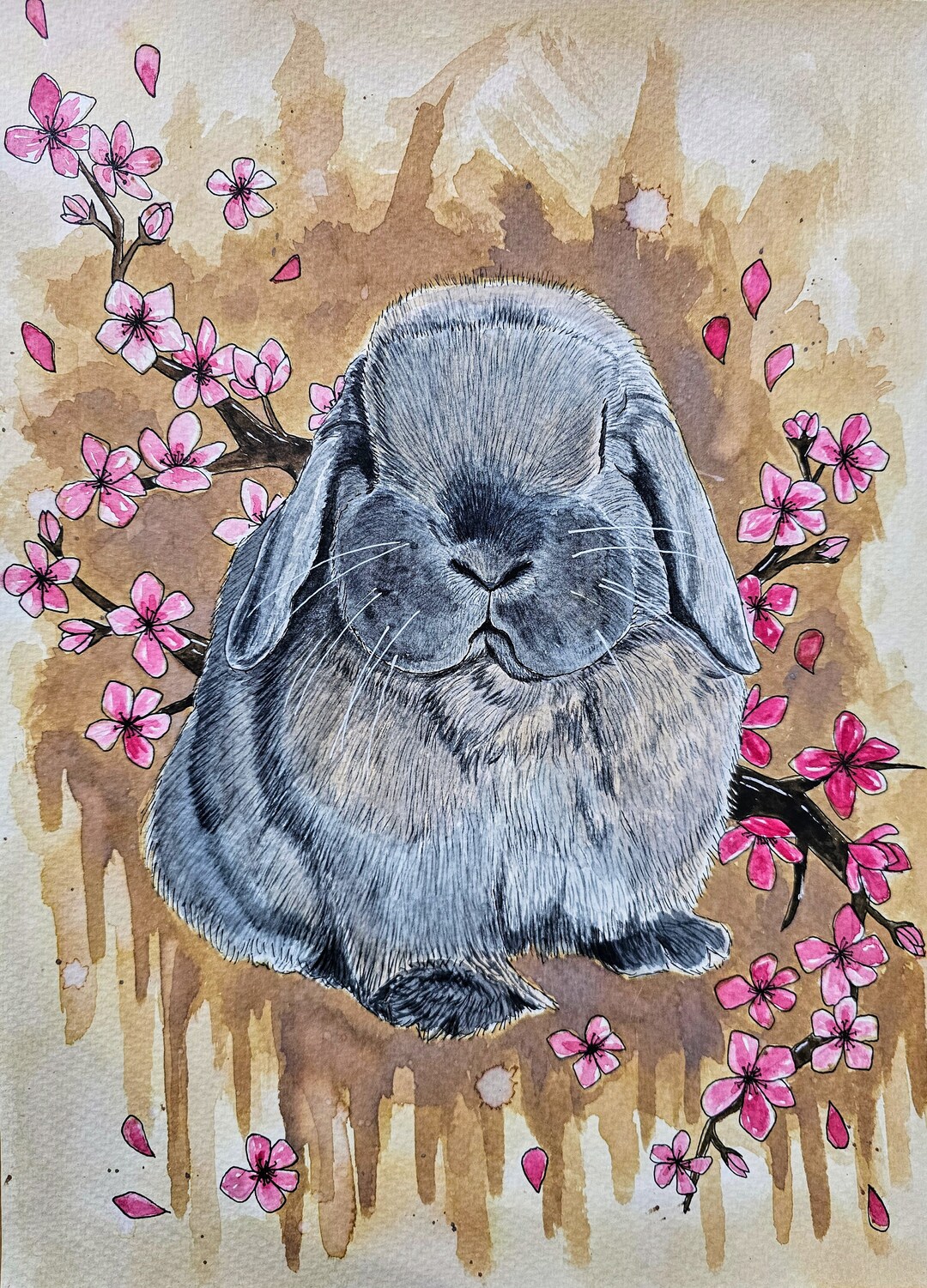 8x10 Watercolor Holland Lop Art Print Rabbit - Etsy