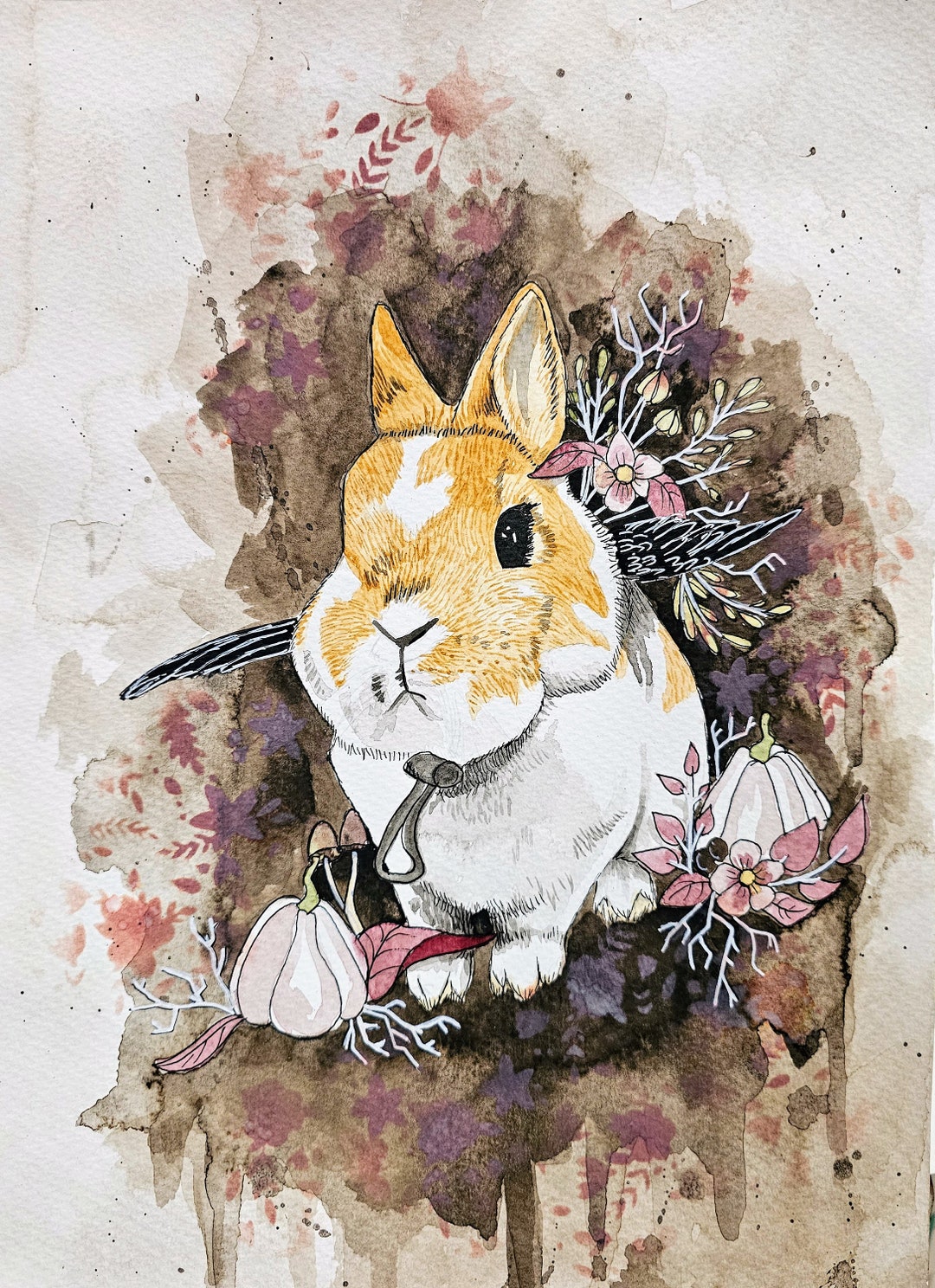 8x10 Watercolor Netherland Dwarf Art Print Broken Orange Rabbit - Etsy
