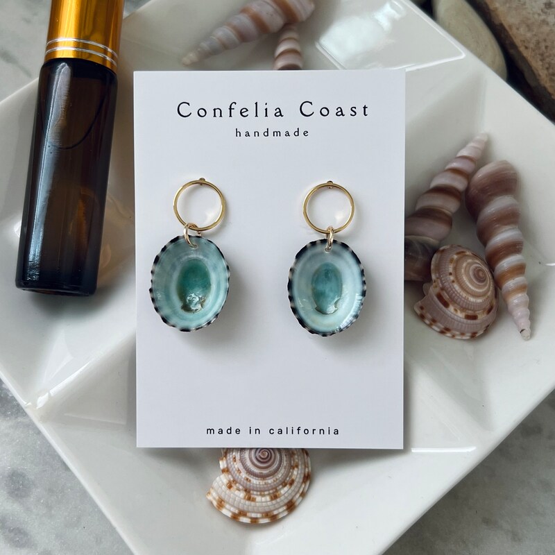 Shell Earrings - Etsy