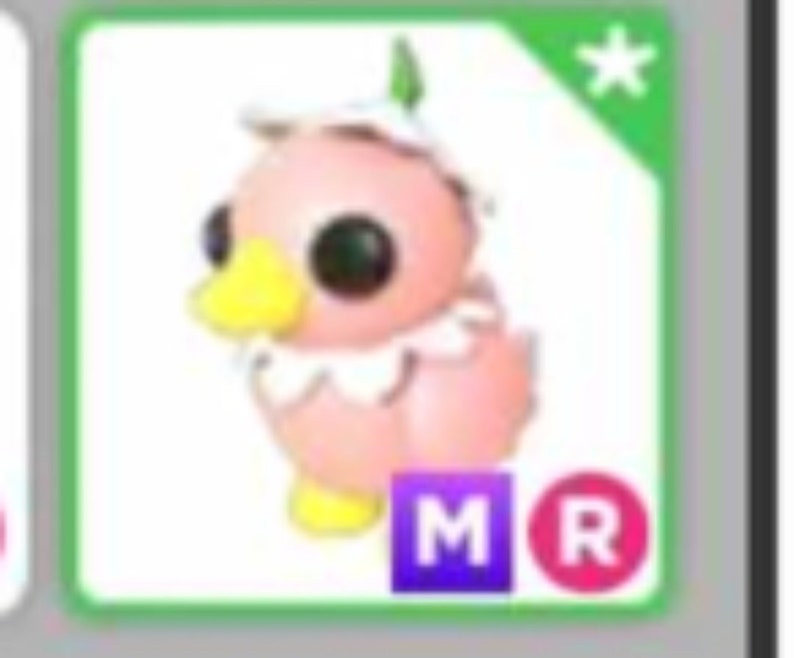 Adopt Me Mega Neon Pets BUNDLE - Etsy Australia