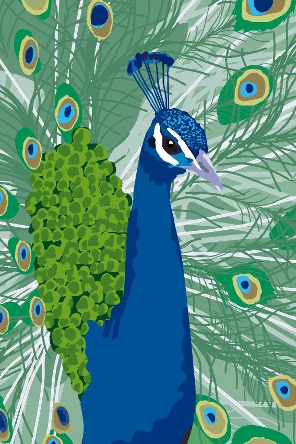 Peacock Print 9 X 12.5 - Etsy
