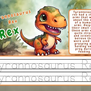 Dinosaur Busy Books for Children's Learning Canva Template - Etsy