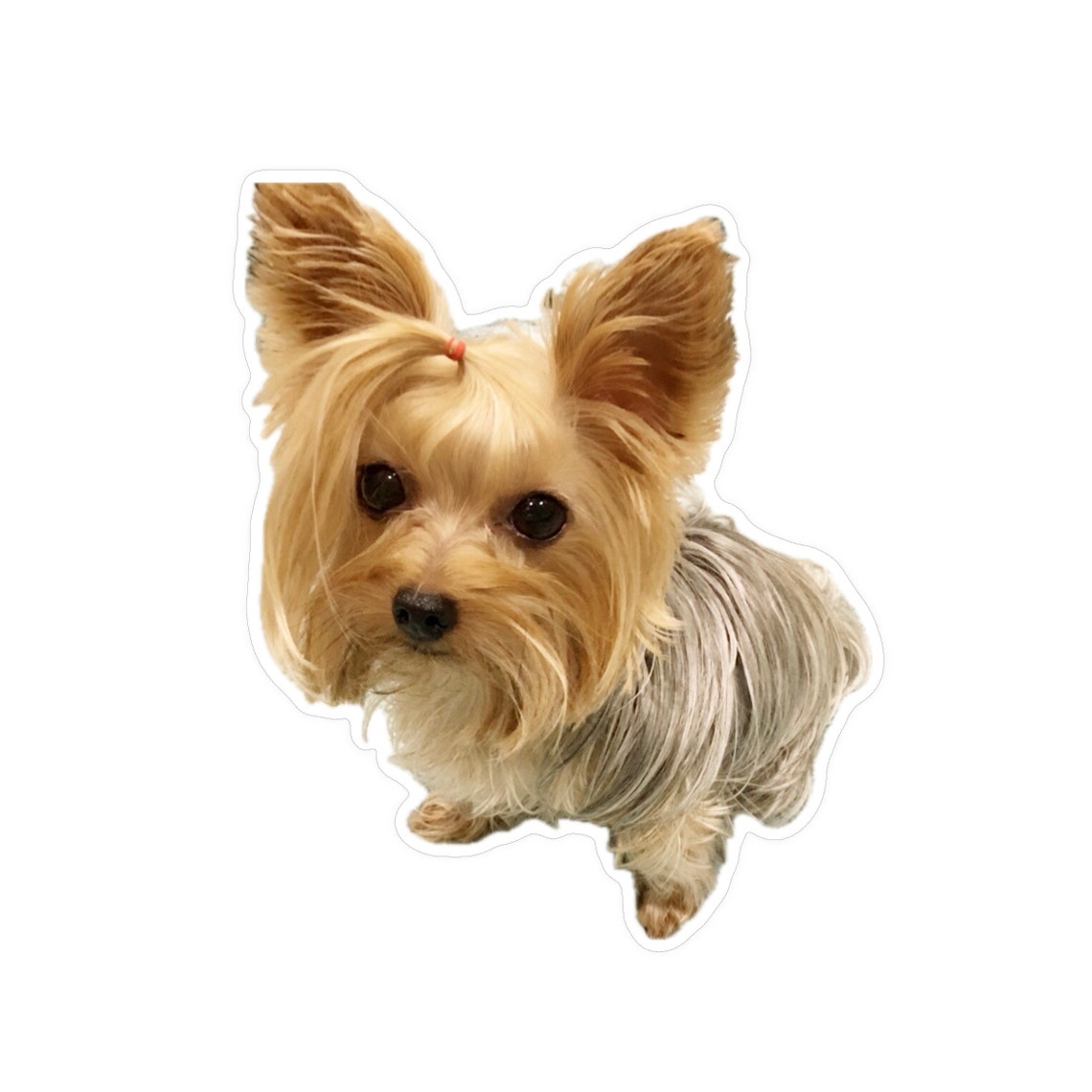 Yorkie Sticker / Cut Yorkshire Terrier/ Diary Sticker - Etsy