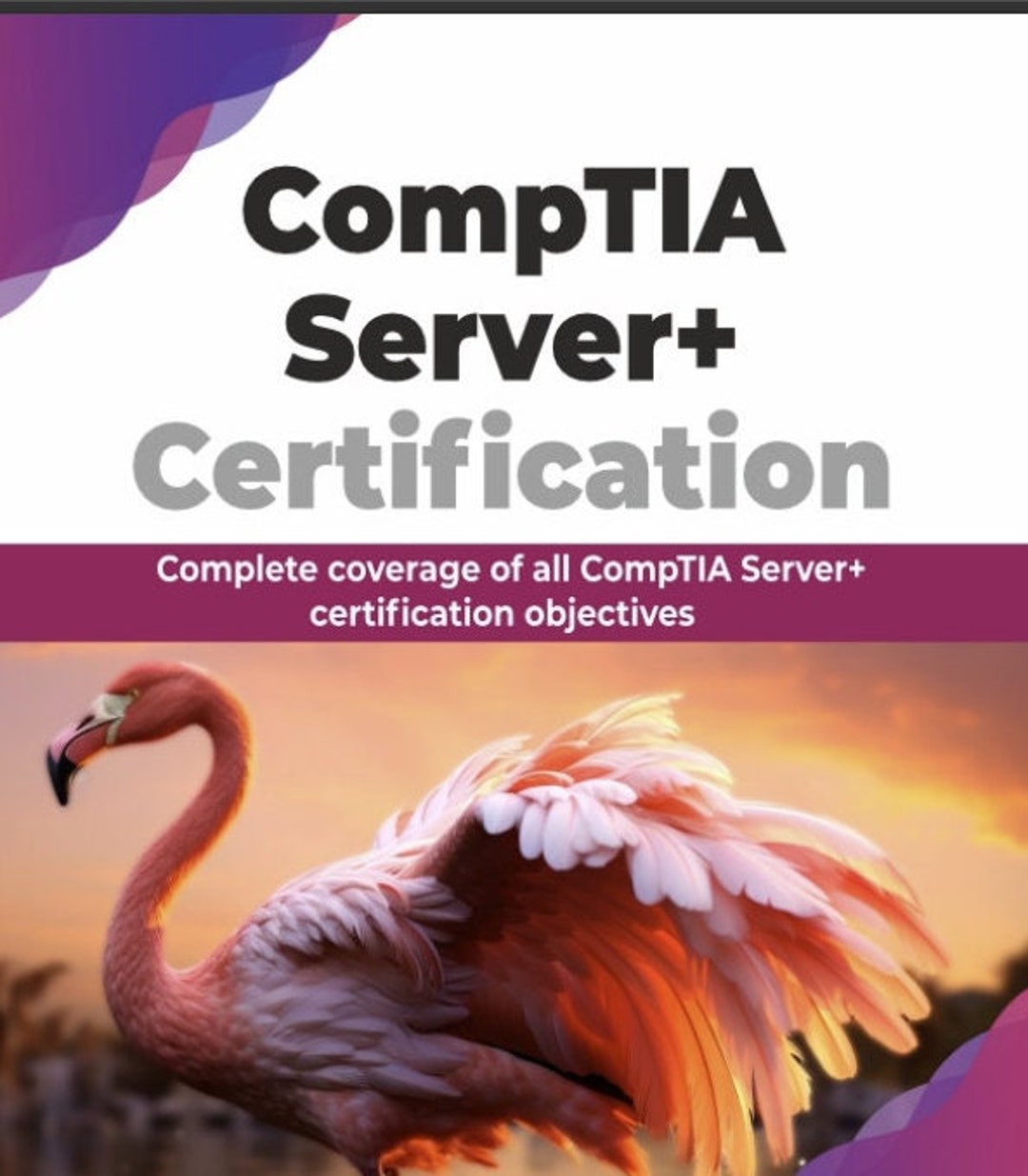Comptia Server Certification Exam Complete Study Guide - Etsy