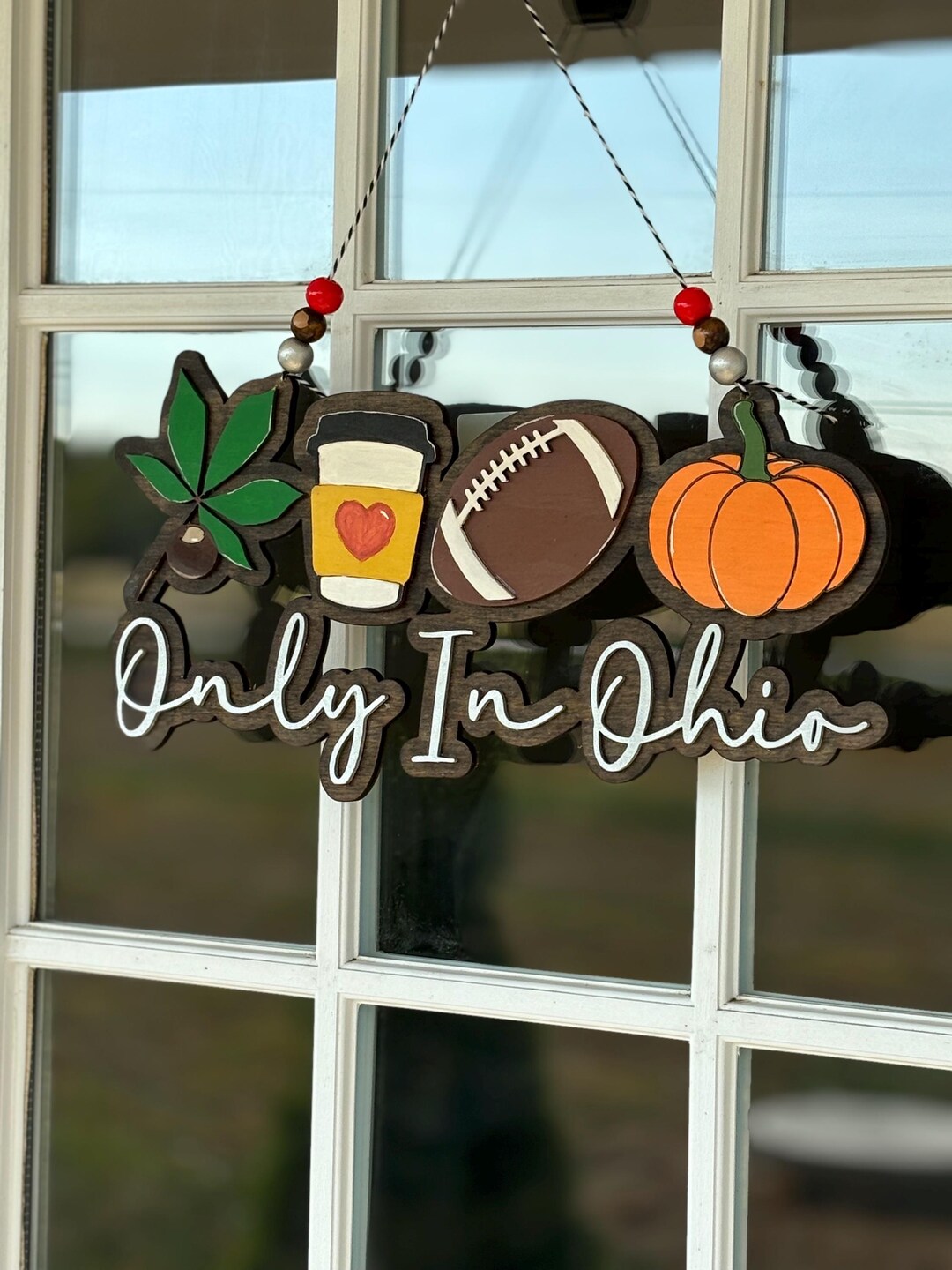 Ohio State Buckeyes Only in Ohio Door Hanger Sign Handmade - Etsy