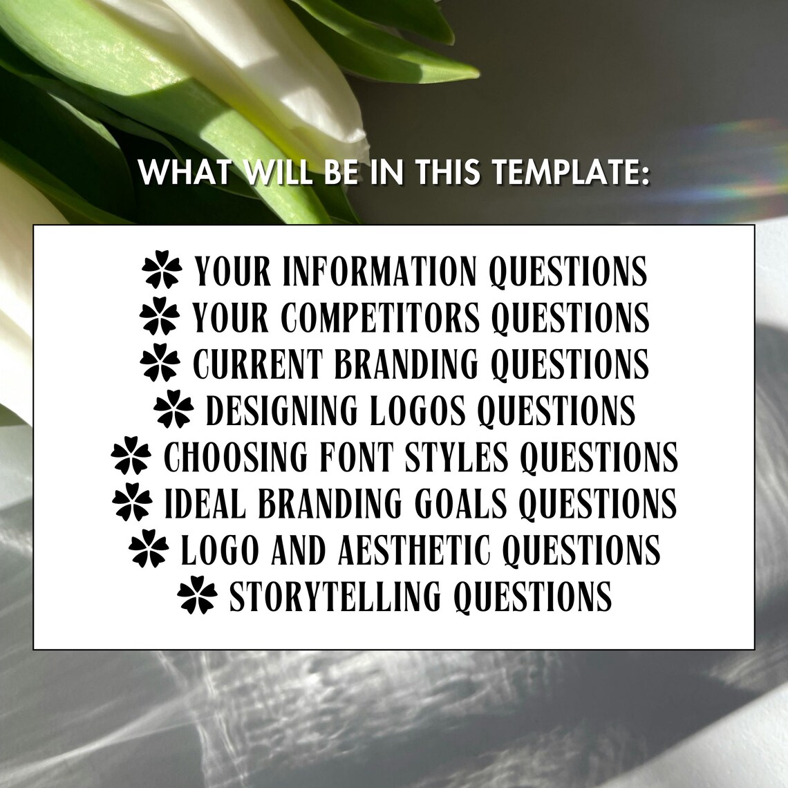 The Brand Vision Questionnaire With Master Resell Rights MRR and ...