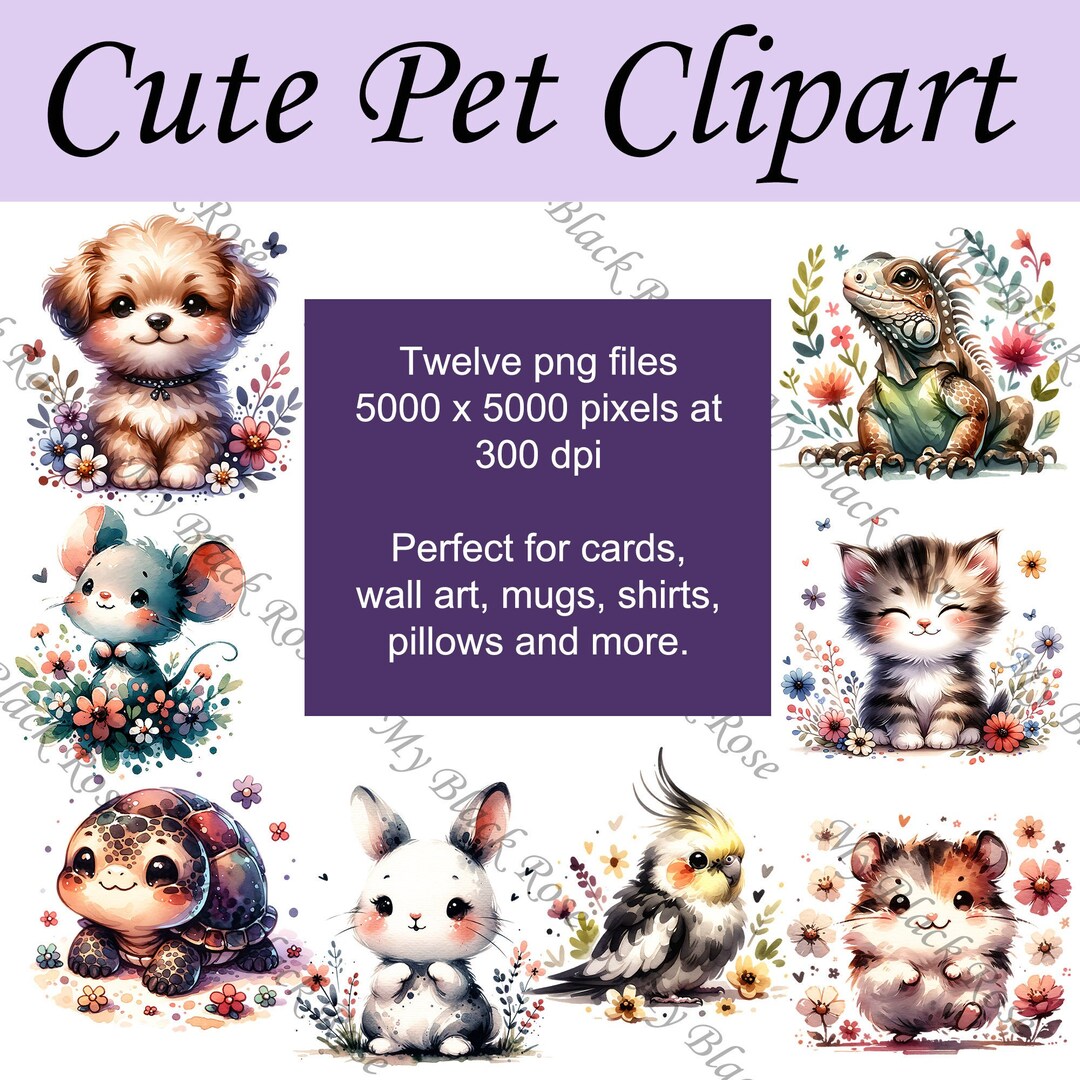 Cute Pets Clip Art - Etsy