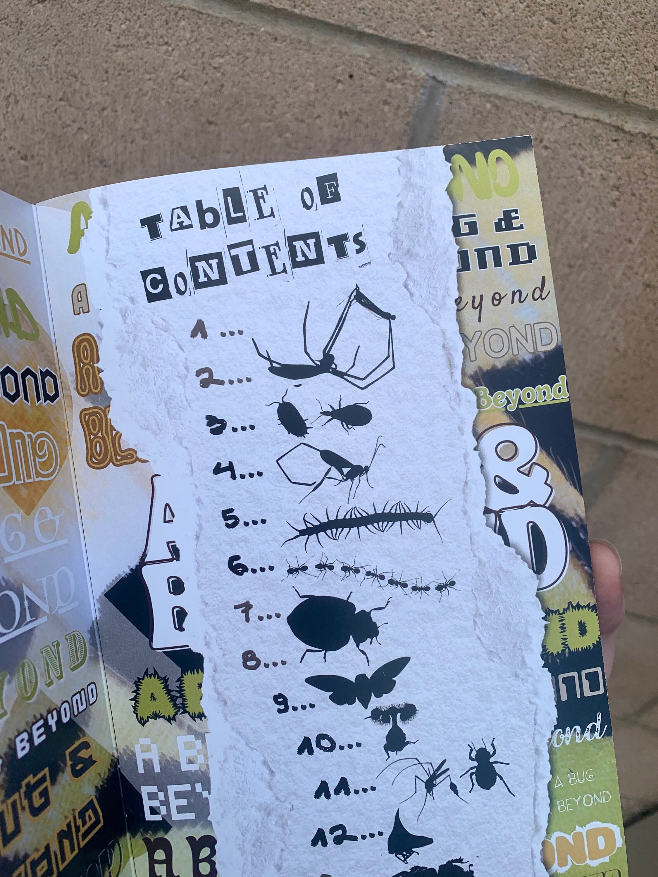 Zine: A Bug & Beyond 01 Insect Art, Facts, Collages, Handmade Magazine ...