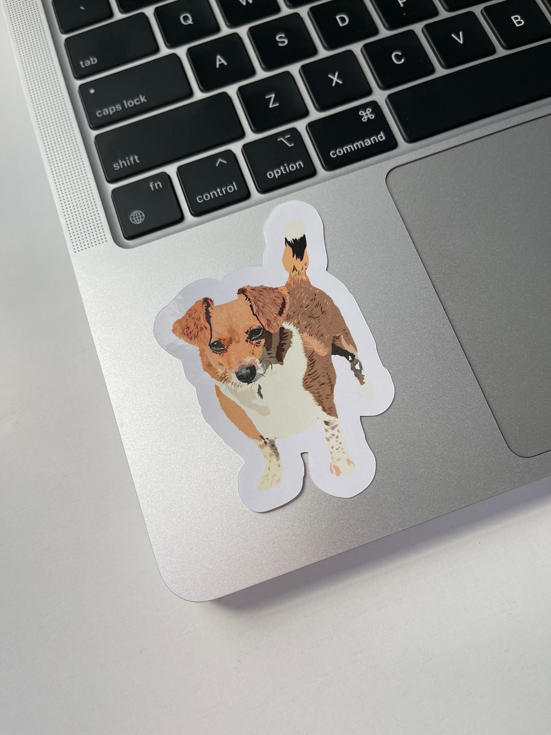 Corgi Molly Die Cut Sticker - Etsy