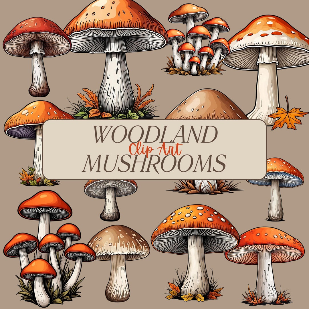 Woodland Mushroom Clipart Set Instant Download 12 High-quality PNG ...