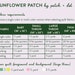 Quilt Pattern PDF Sunflower Patch - Etsy